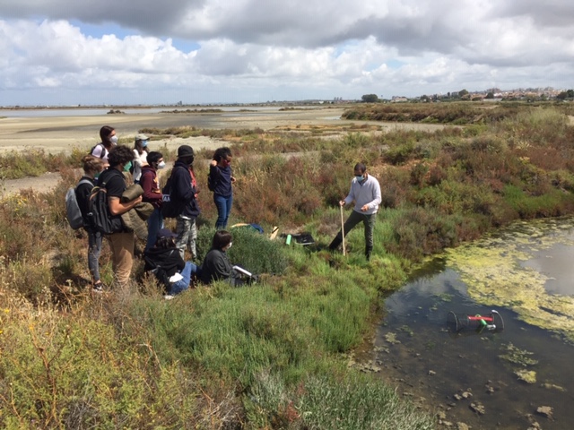 Studying how to manage invasive alien species – Departamento de Biología